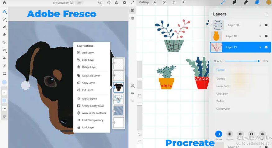 Comparing Procreate and Adobe Fresco